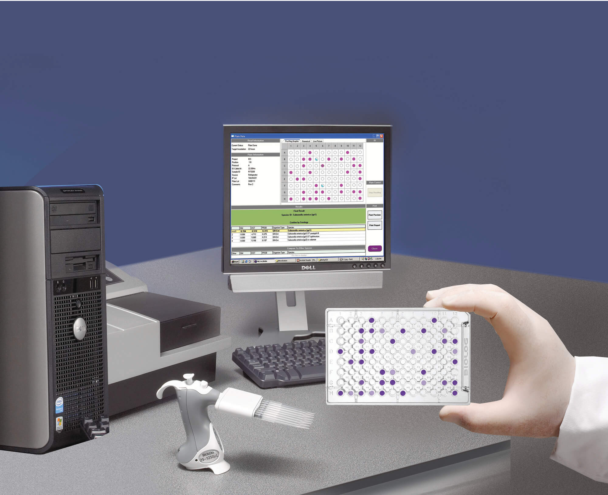 Biolog Phenotype MicroArray - Rigel Process and Lab