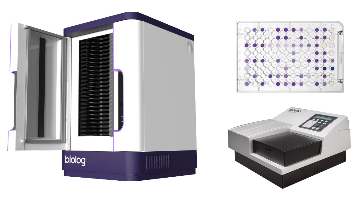 Biolog Phenotype MicroArray - Rigel Process and Lab